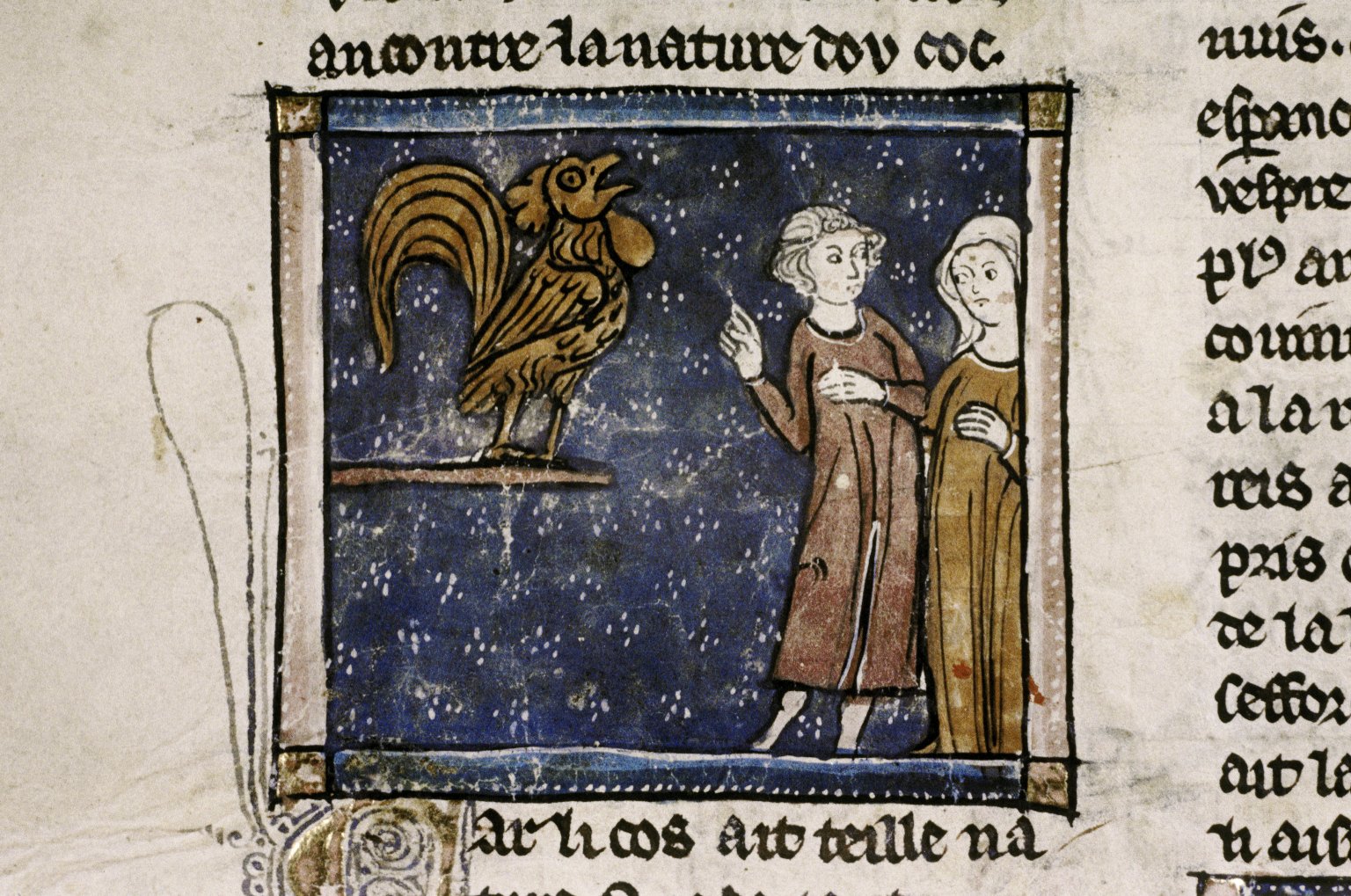 Richard de Fournival’s Bestiary of Love – Elizabeth Eva Leach